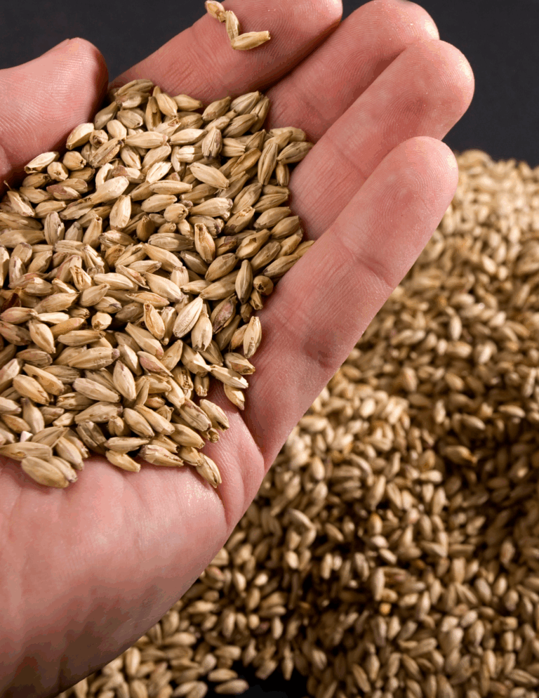 ZumBev – Beverage Co-Manufacturer